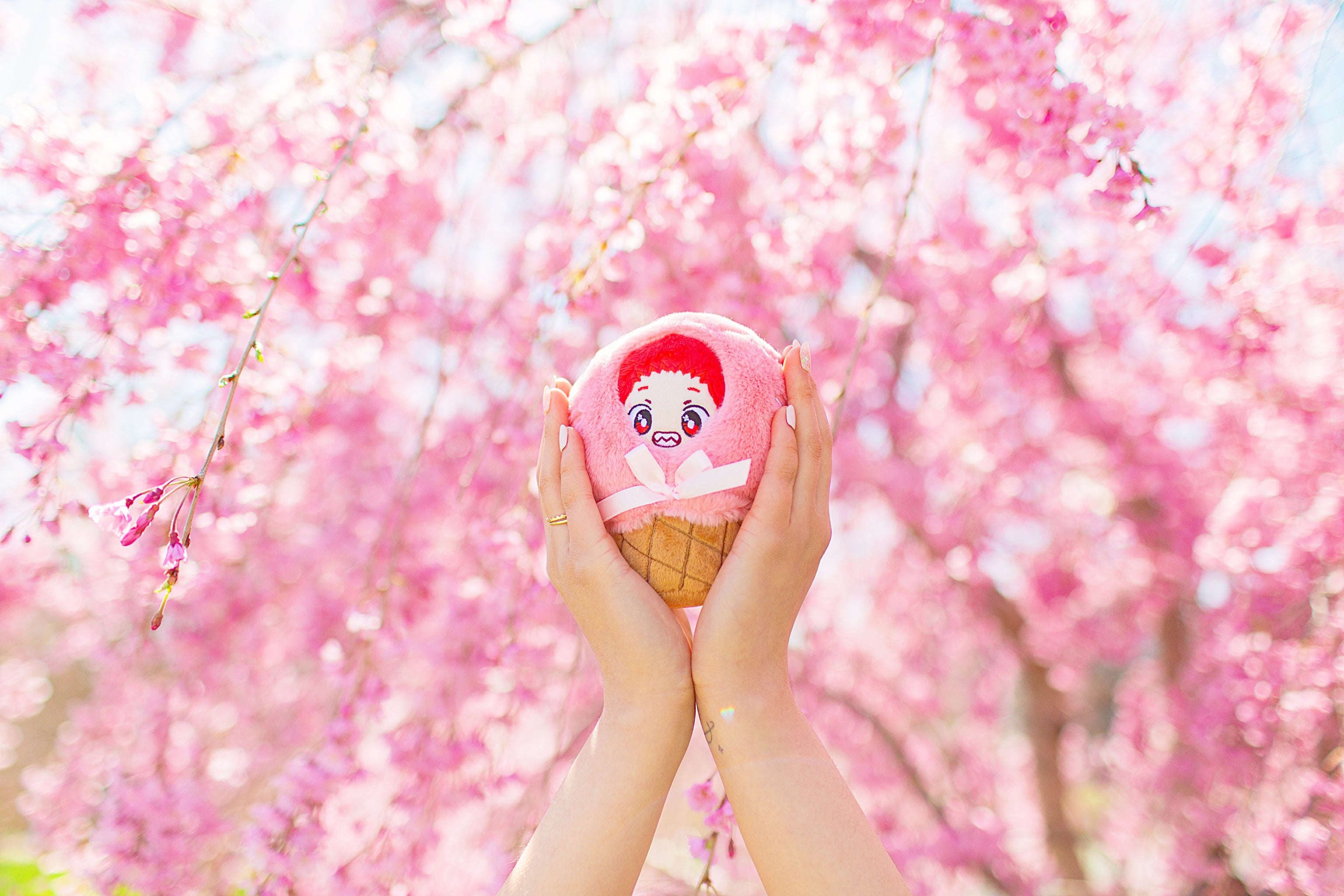 Red Raspberry Ice Cream Plushie Keychain – Agi Jagi Shop