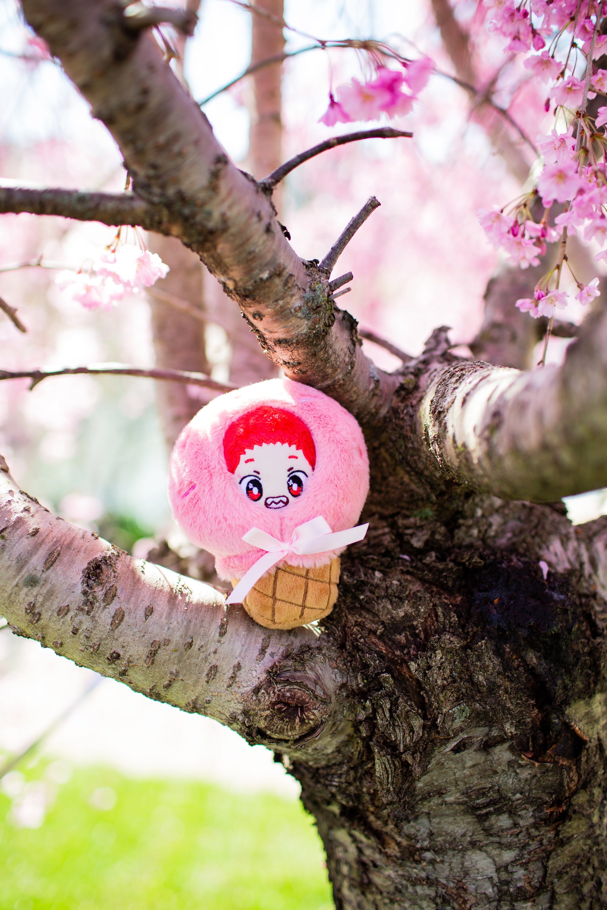 Red Raspberry Ice Cream Plushie Keychain – Agi Jagi Shop